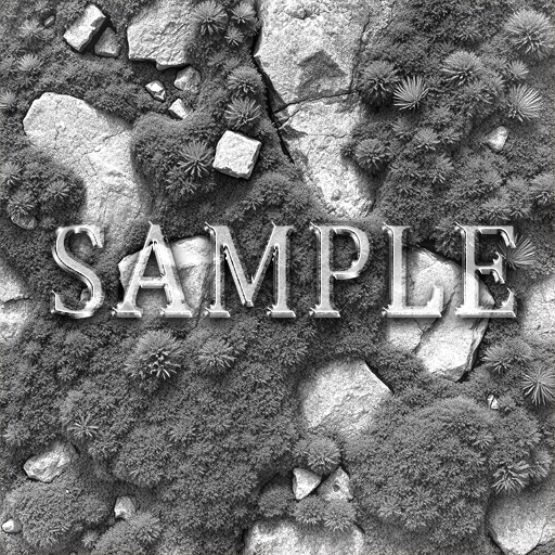 Second Life Marketplace - Zoy Texture [ Mossy Rock Garden Seamless 02 ] B